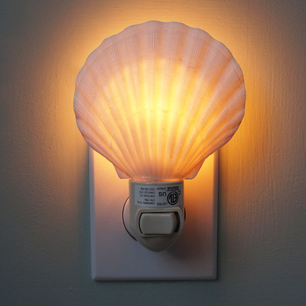 Night Light Scallop | The Hub of Nantucket